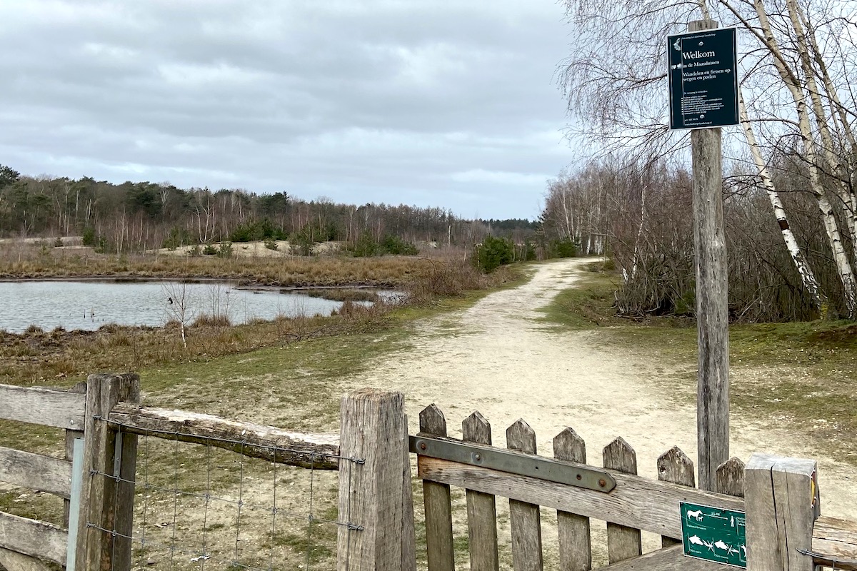 Von Walbeck in den holländischen Nationalpark De Maasduinen